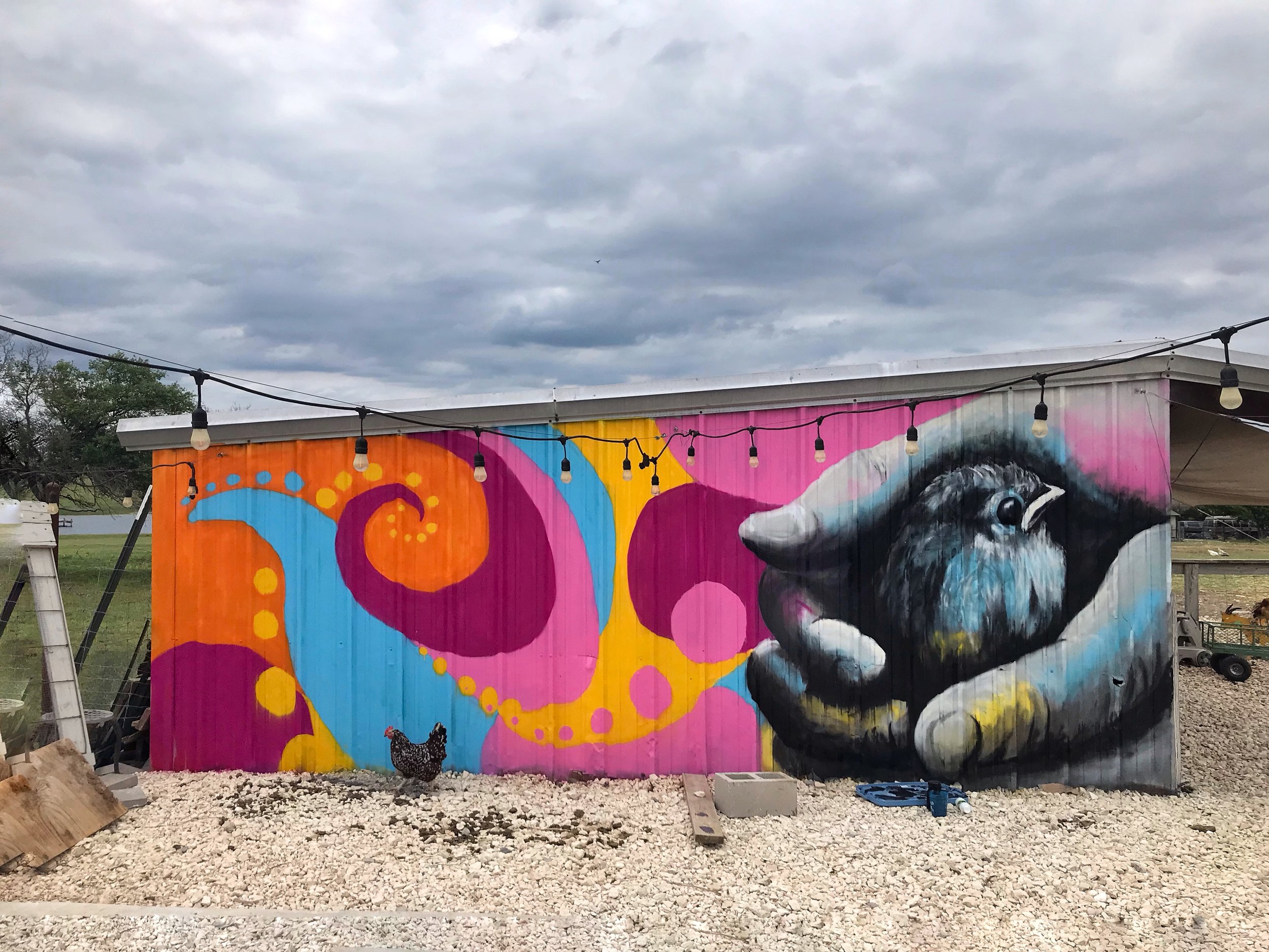 Brady Black chosen as mural artist for Center for Active Living ...